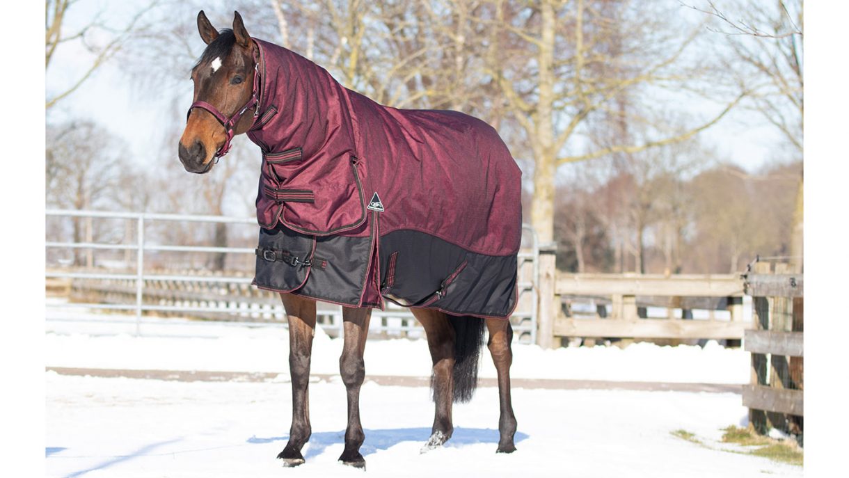 Best heavyweight turnout rugs for all budgets | Horse & Hound