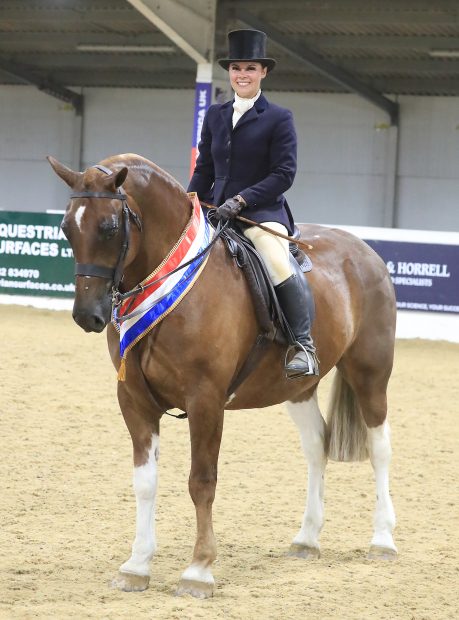 Ranchella Rolex is a worthy winner at CHAPS championships - Horse & Hound