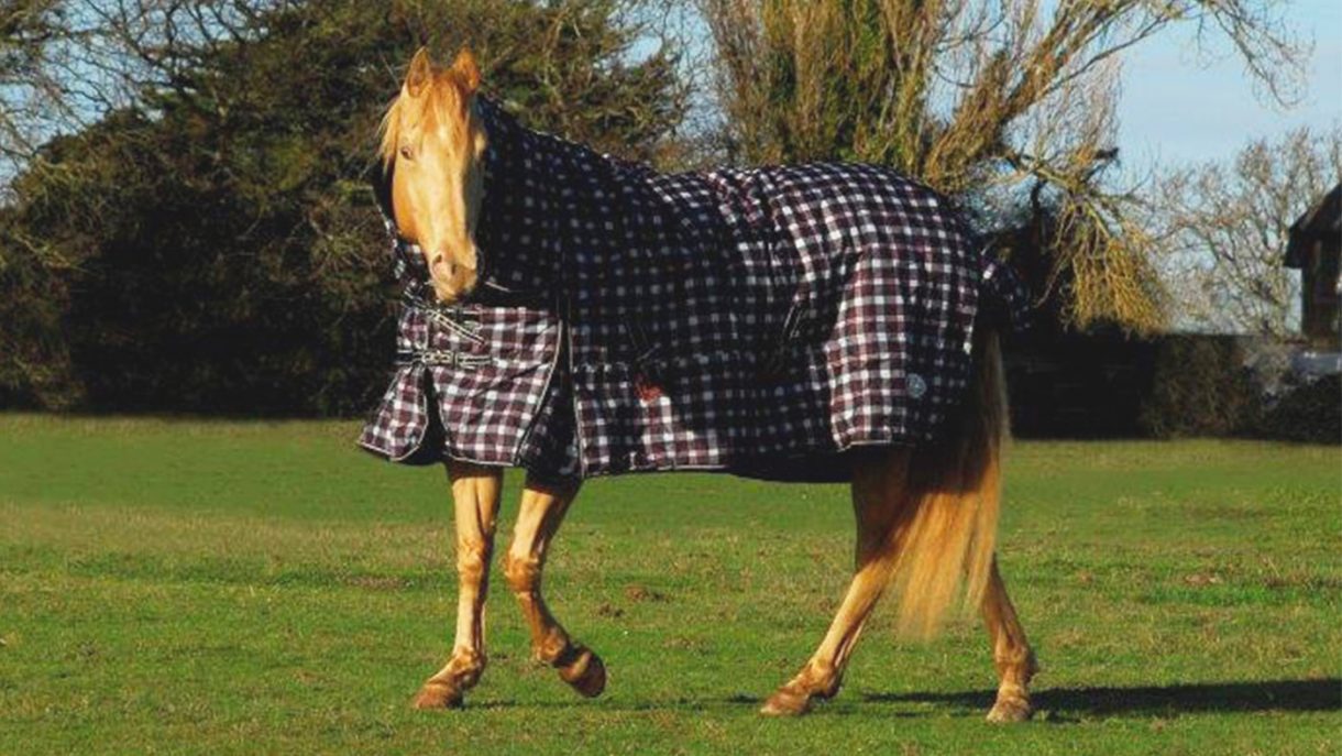 Best heavyweight turnout rugs for all budgets | Horse & Hound