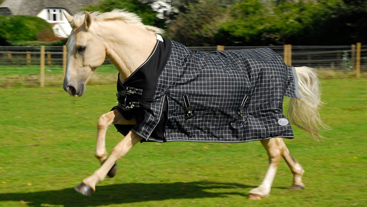 Best lightweight turnout rugs with 50–150g fill | Horse & Hound