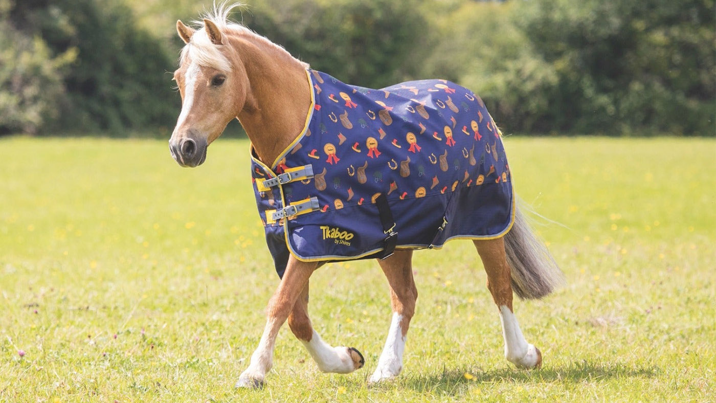 Patterned horse rugs to feast your eyes on | Horse & Hound