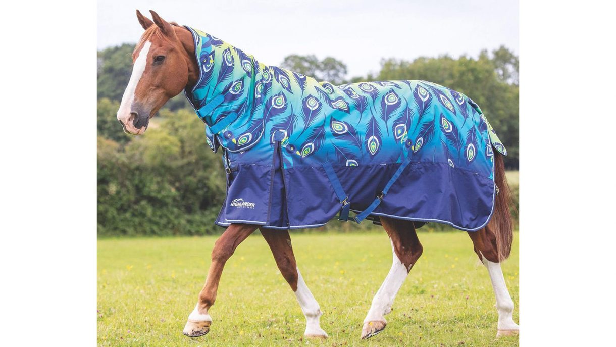 Patterned horse rugs to feast your eyes on | Horse & Hound