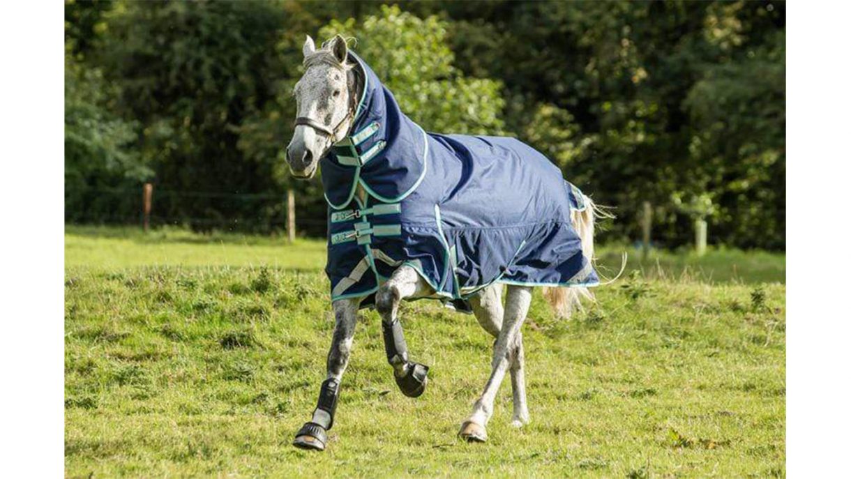 Best heavyweight turnout rugs for all budgets | Horse & Hound