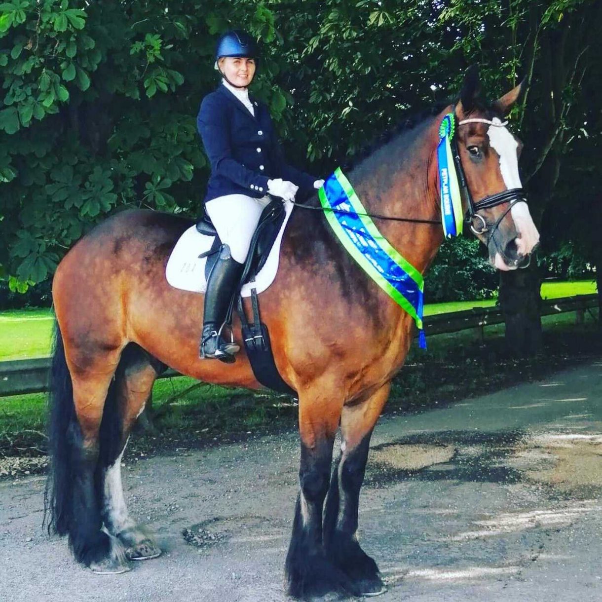 What an extended trot! Rider’s fabulous on-foot lap of honour - Horse ...