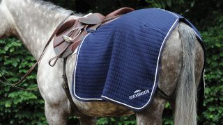 Best exercise sheets for horses in a range of styles | Horse & Hound