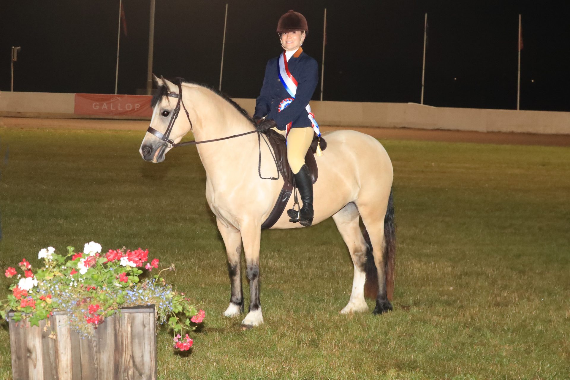 Rescue pony found malnourished in 2019 is crowned supreme at Equifest ...