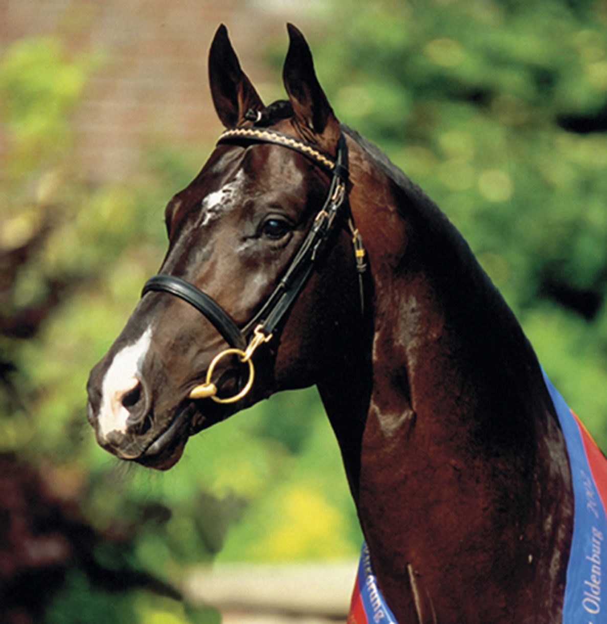 Sandro Hit offspring in pictures, from gold medallists to an Olympic ...