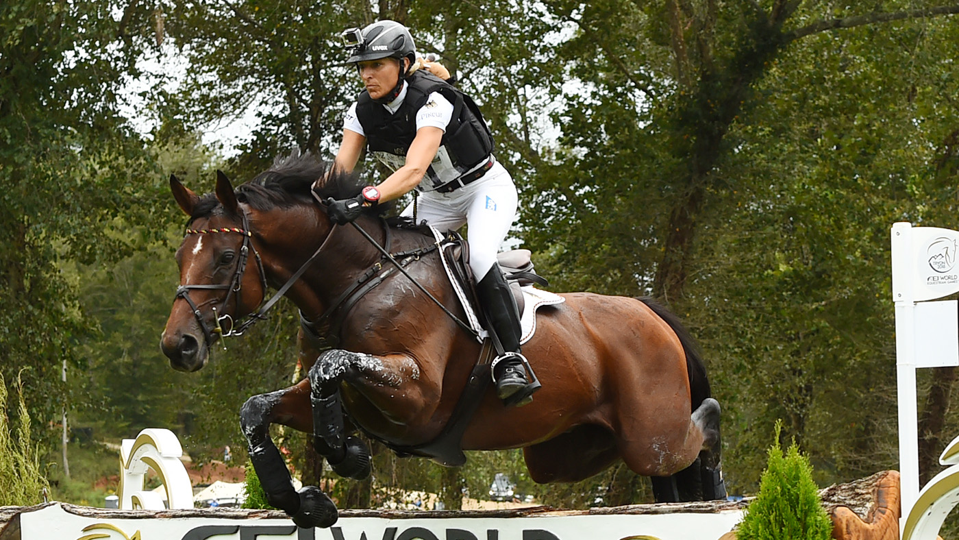 Top rider injured, Royal Ascot tips, and other things the horse world ...