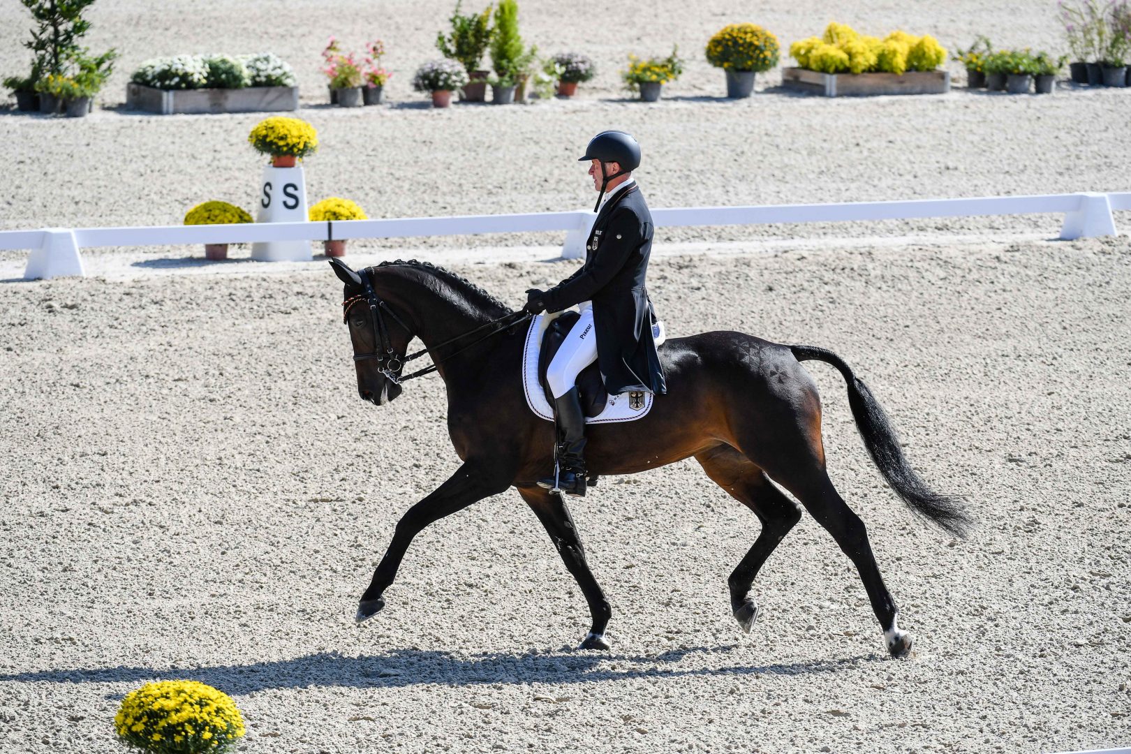 European Eventing Championships dressage: top 10 reshuffle