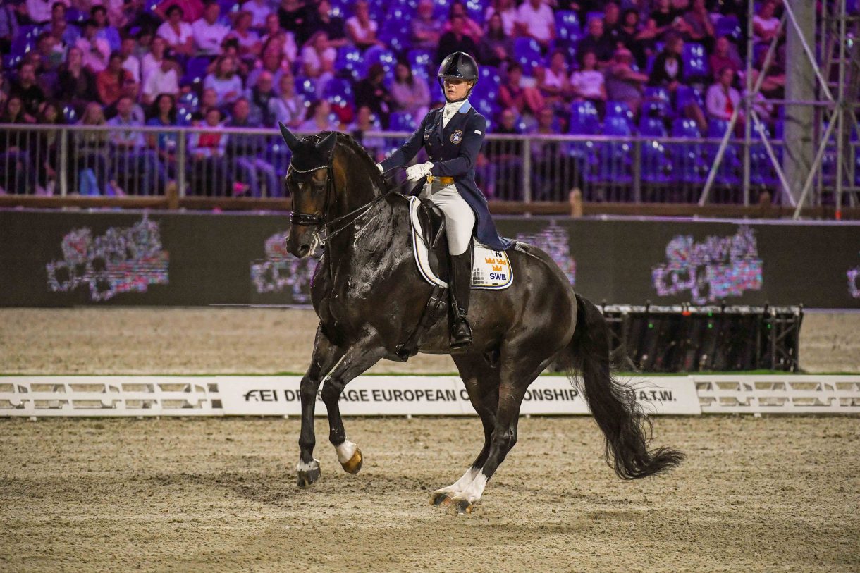 Buriel K.H: meet the dressage horse who is ‘just amazing to work with’