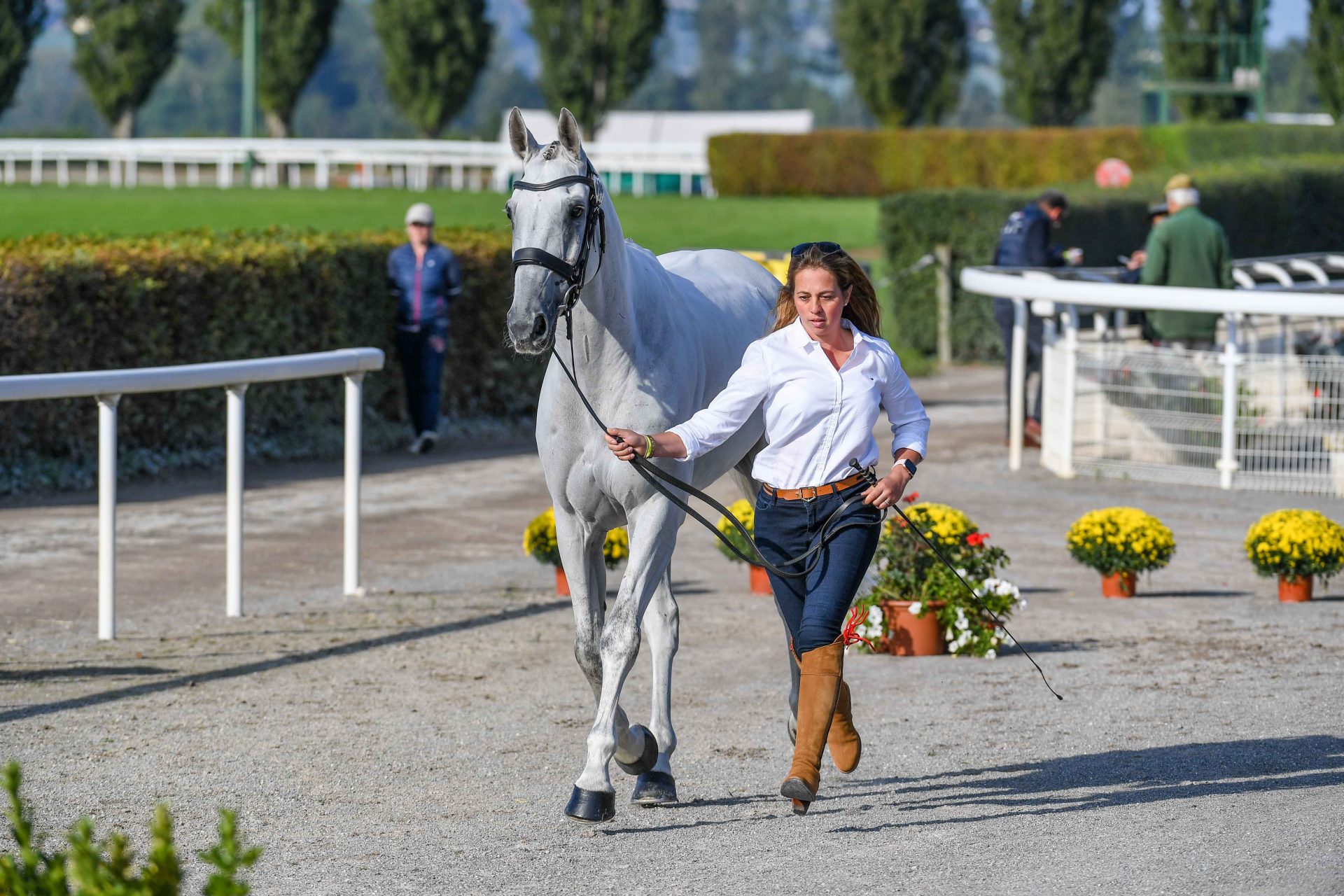 European Eventing Championships first trot-up photos