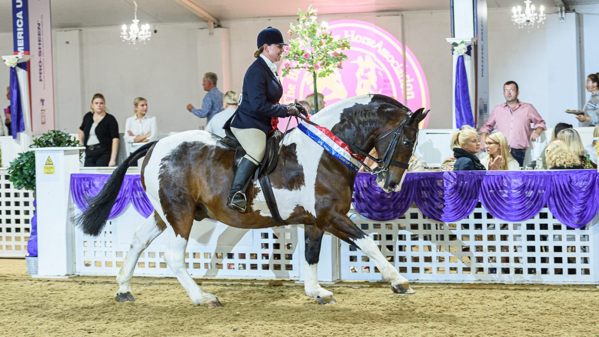 17 winners from the 2021 BSHA championships - Horse & Hound