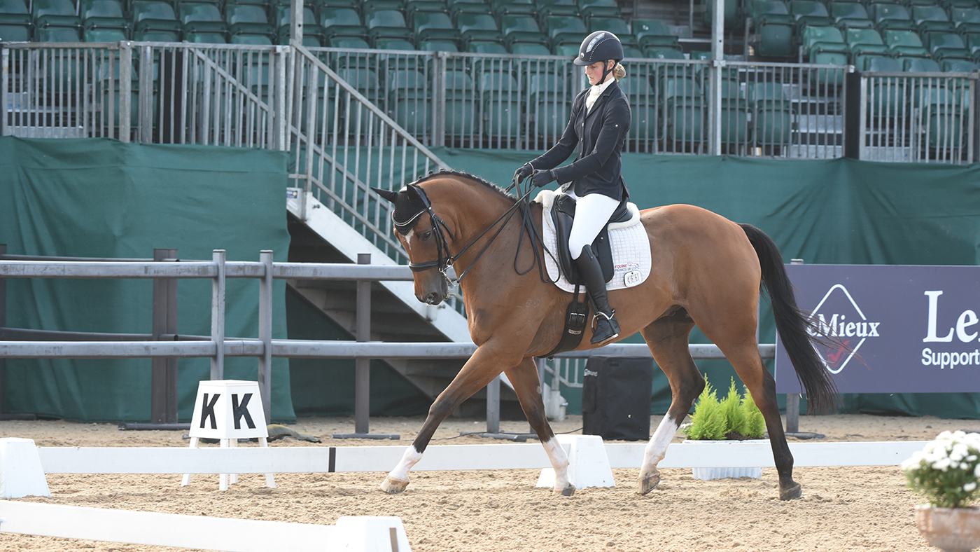 Tales from National Dressage Championships: a horse on his third career