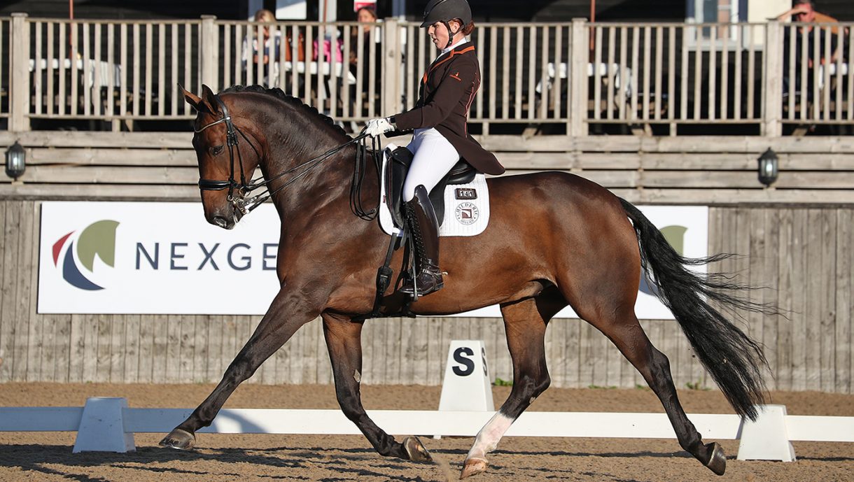 NEXGEN championships 2021: find out which top young horses triumphed