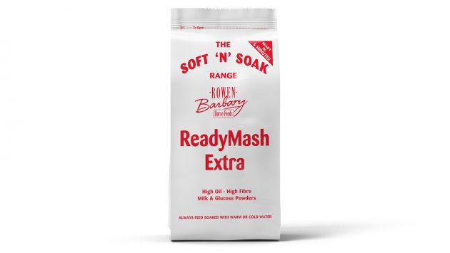 Horse feeds for weight gain and improving condition | Horse & Hound