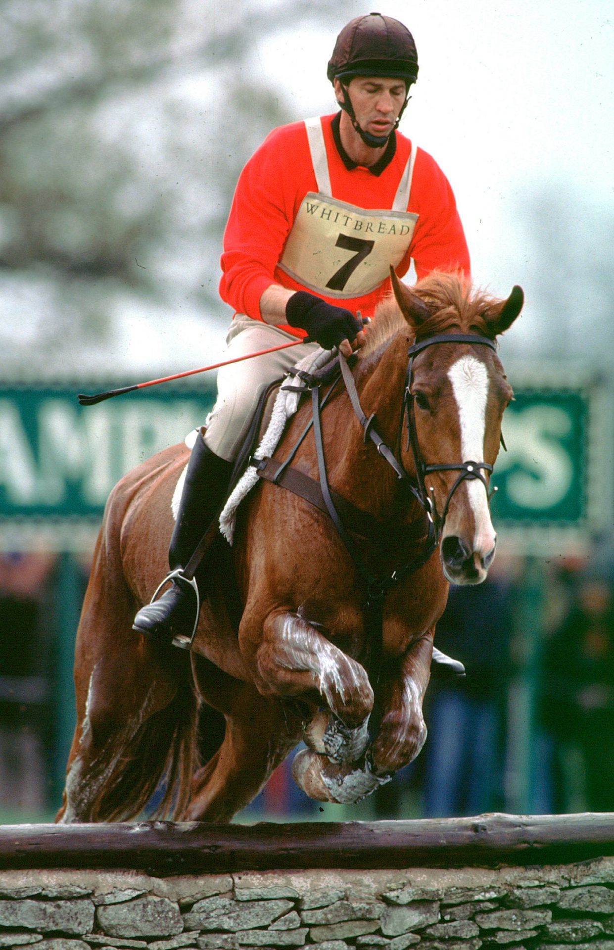 Andrew Nicholson: celebrating his career at the top in pictures and videos