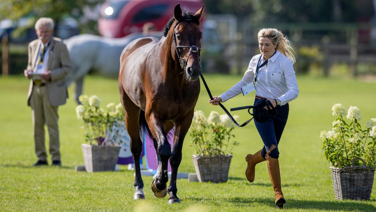 European Showjumping Championships: solid start for Great Britain