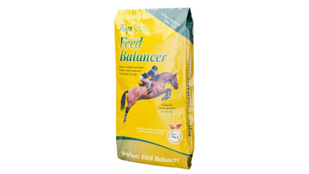 Horse feeds for weight gain and improving condition | Horse & Hound
