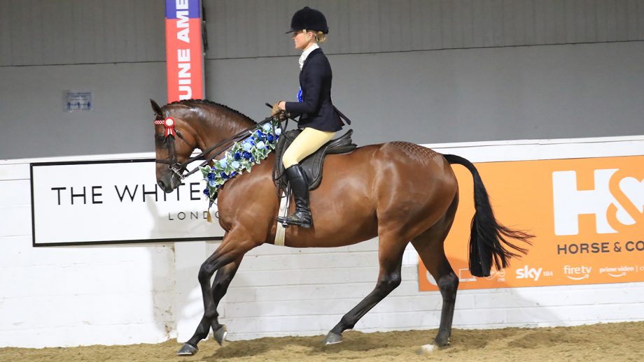 BSPS Summer Championships 2021 report and results | Horse & Hound