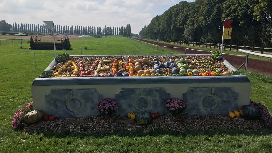 European Eventing Championships cross-country course: fence photos