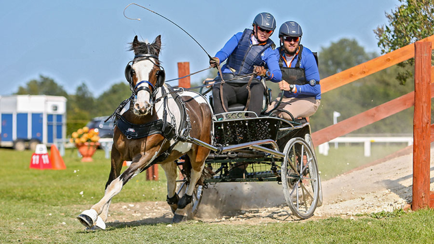 Gypsy vanner to represent Britain at world championships - Horse & Hound