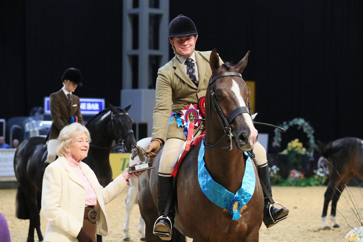 HOYS 2021: Intermediate show hunter championship - Horse & Hound