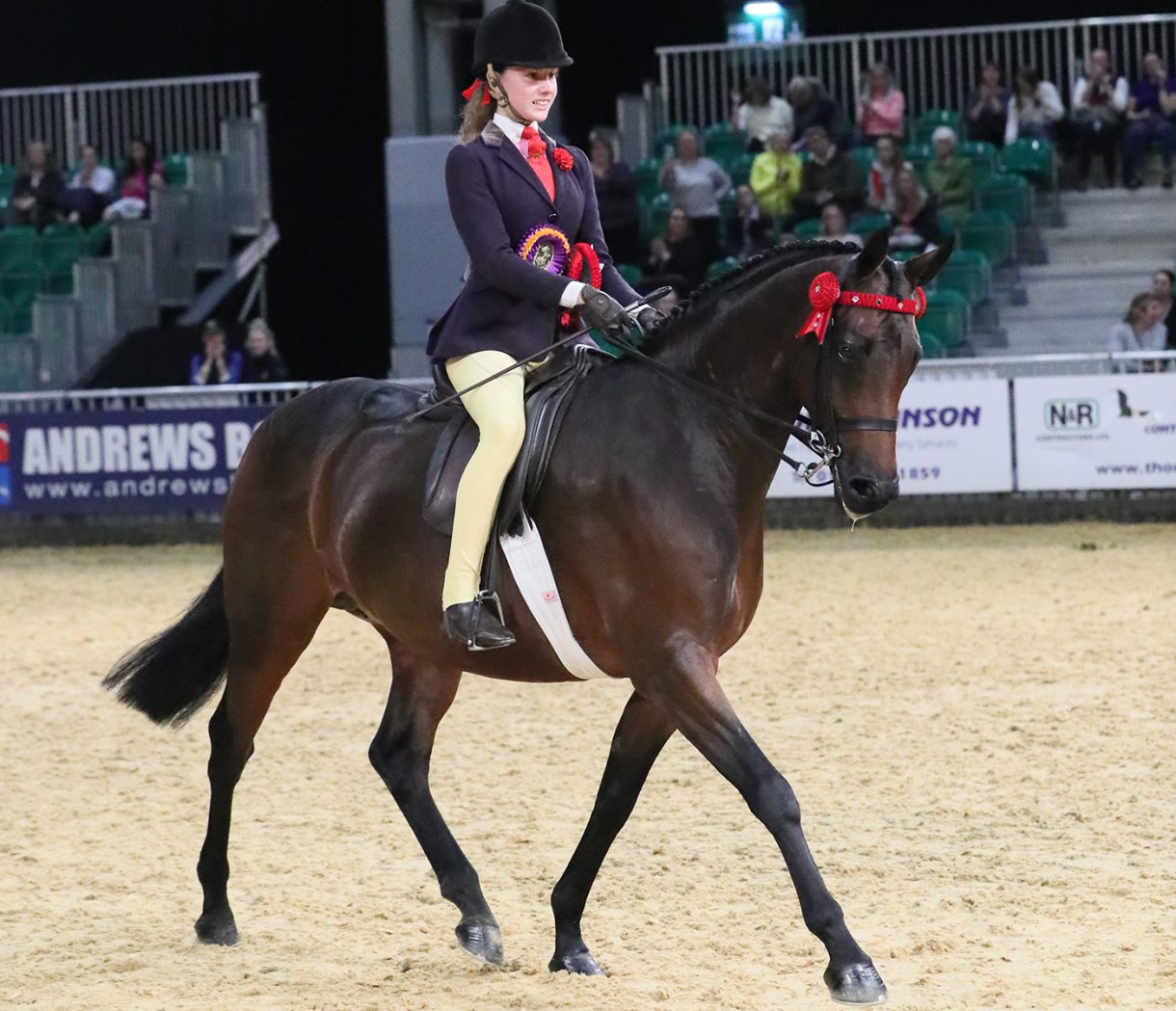 HOYS 2021: Part-bred pony of the year championship - Horse & Hound