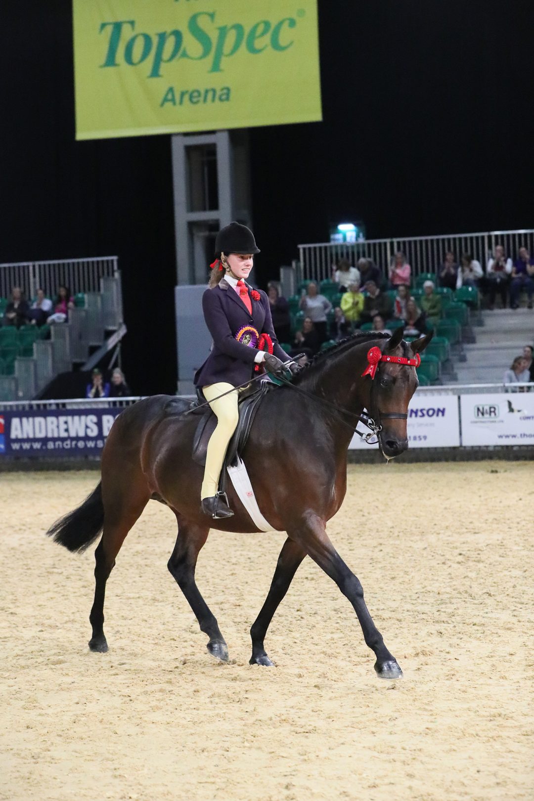 HOYS 2021: Gallery of show ring winners - Horse & Hound
