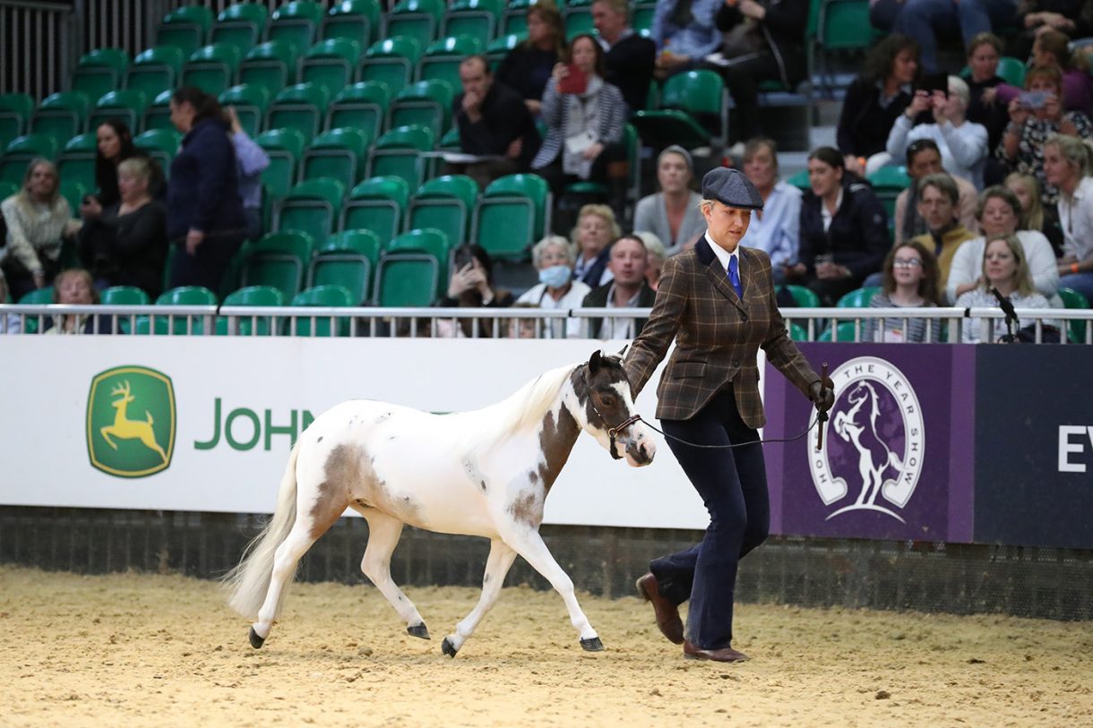 HOYS 2021: Gallery of show ring winners - Horse & Hound