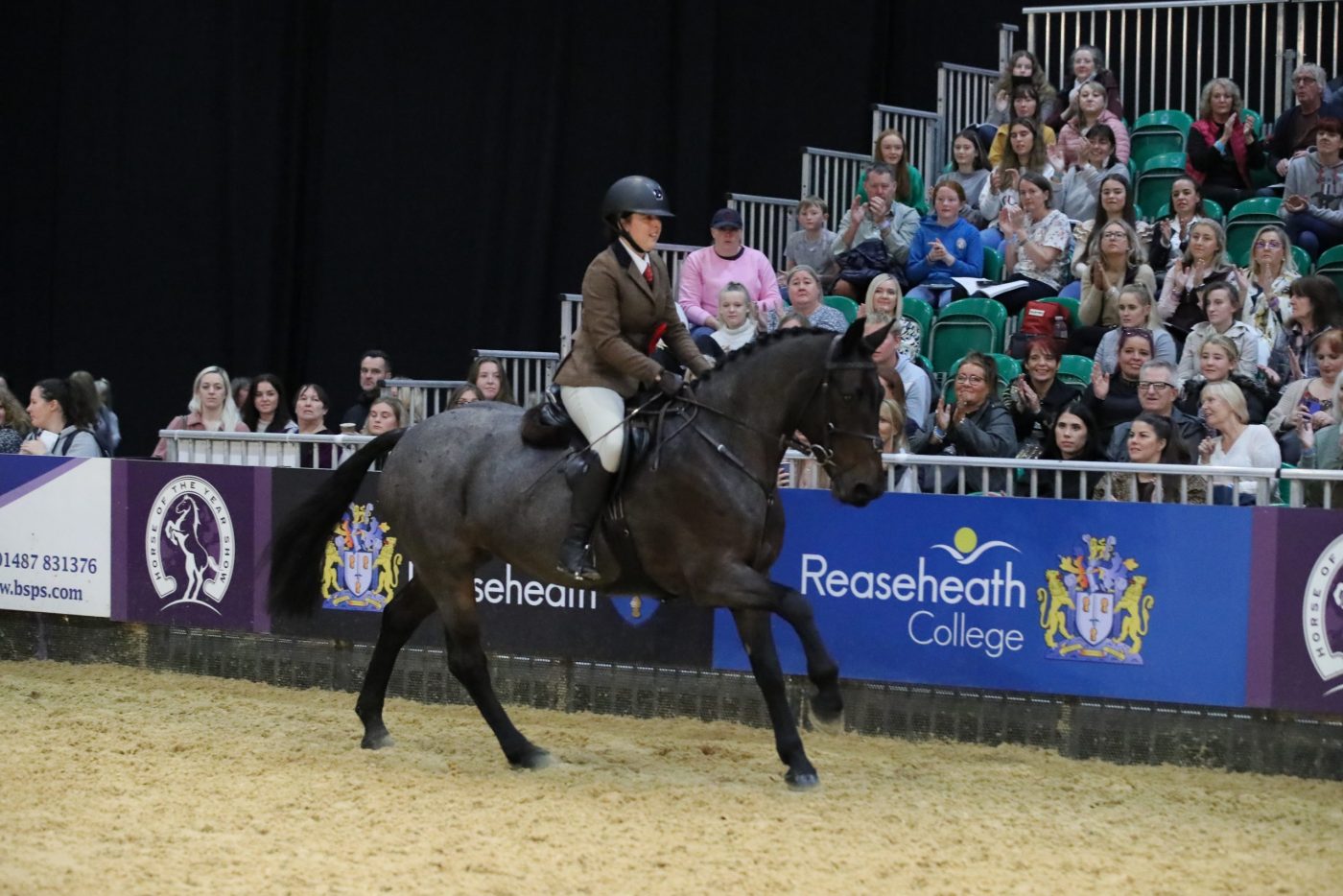 HOYS 2021: 153cm working hunter pony result - Horse & Hound
