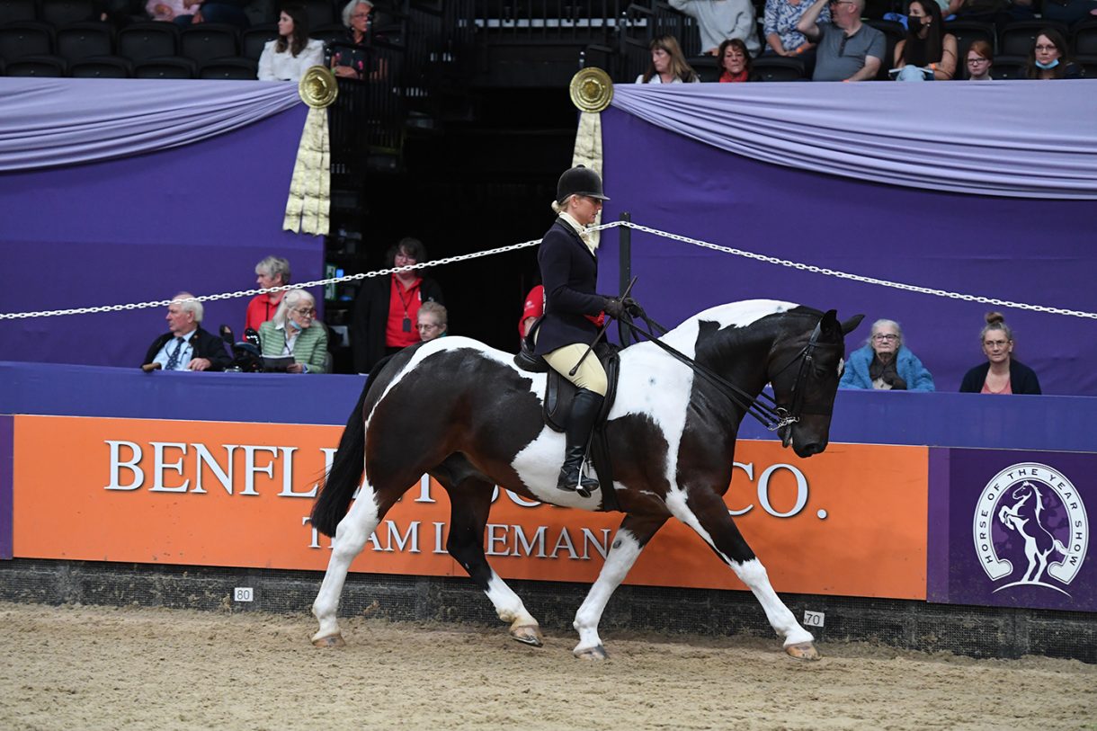HOYS 2021: Gallery of show ring winners - Horse & Hound
