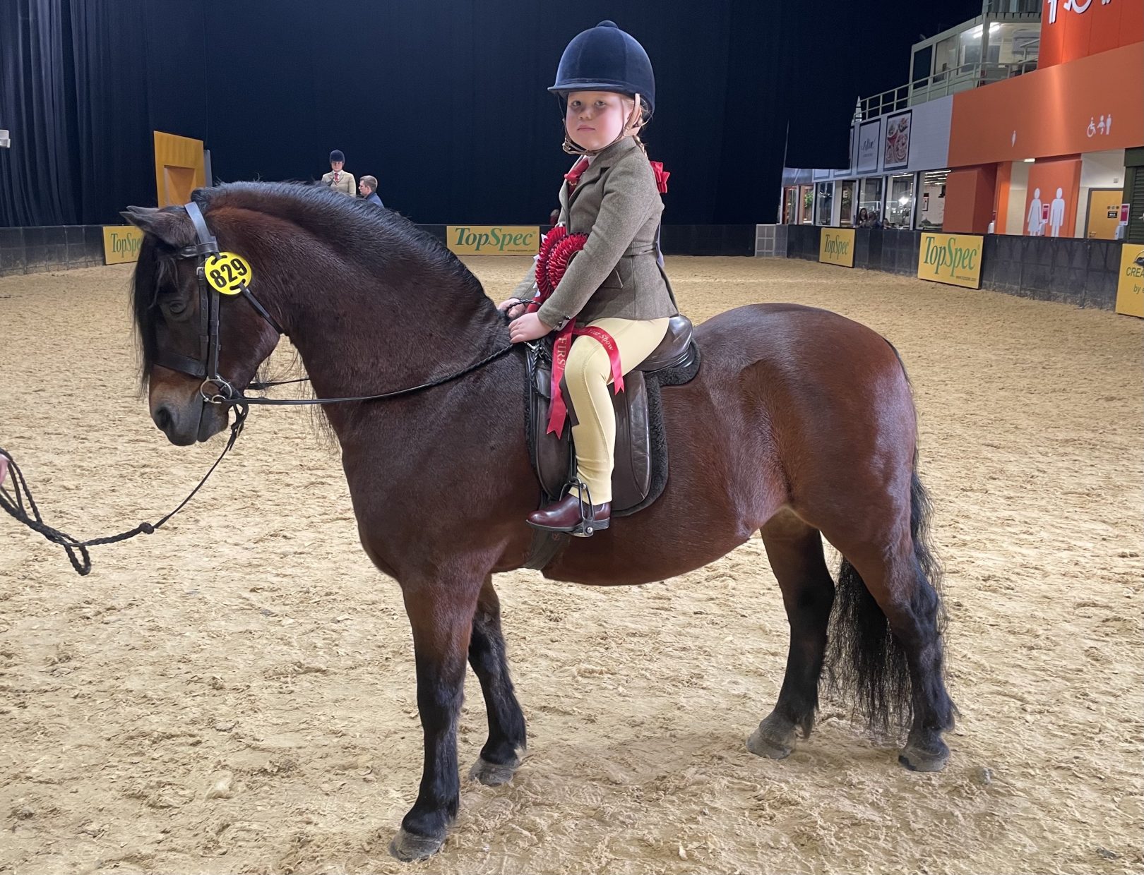 HOYS 2021 working hunter championship - Horse & Hound