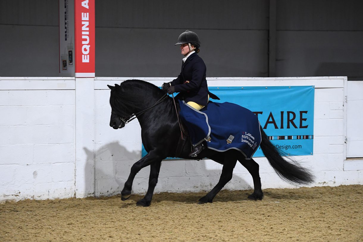 35 native ponies who reigned at the 2021 BSPS Heritage championship ...