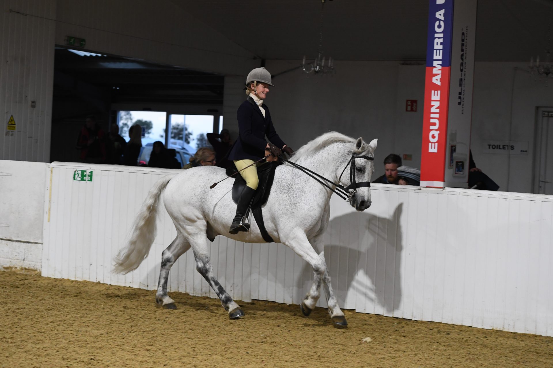 35 native ponies who reigned at the 2021 BSPS Heritage championship ...