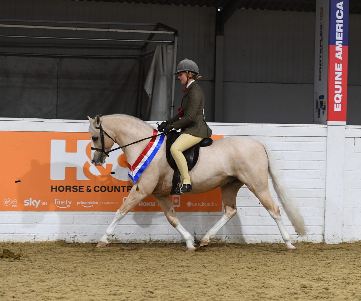 35 native ponies who reigned at the 2021 BSPS Heritage championship ...