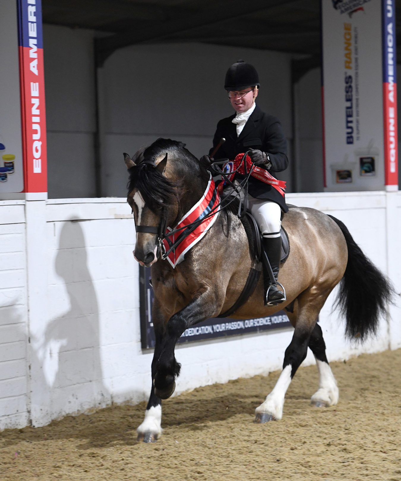 35 native ponies who reigned at the 2021 BSPS Heritage championship ...