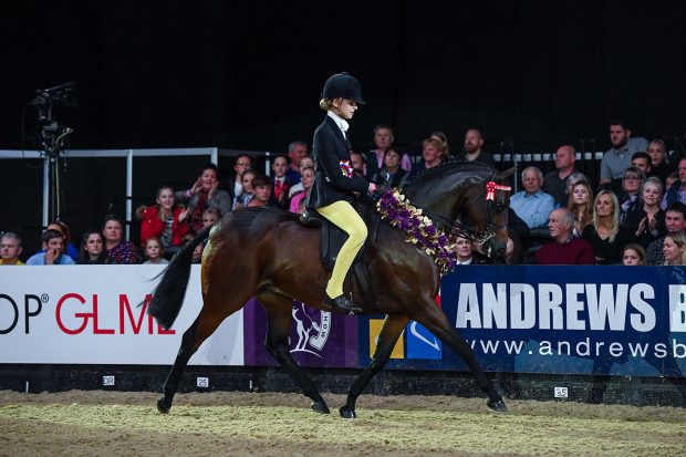 HOYS 2021: show pony of the year results - Horse & Hound