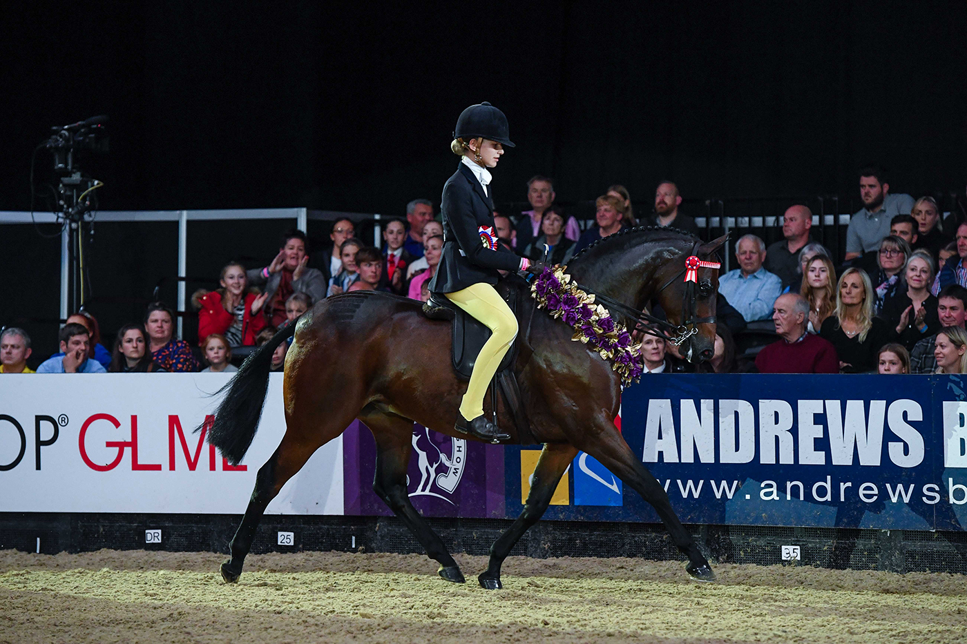 HOYS 2021: show pony of the year results - Horse & Hound