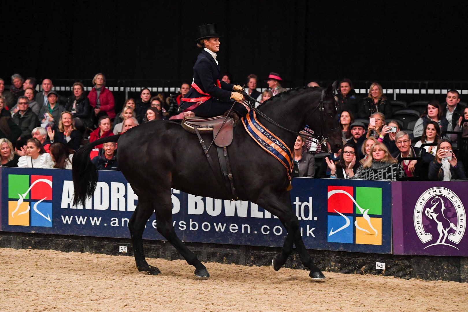 HOYS ladies show horse: Francoise Babington & Seabourne Silent Valley