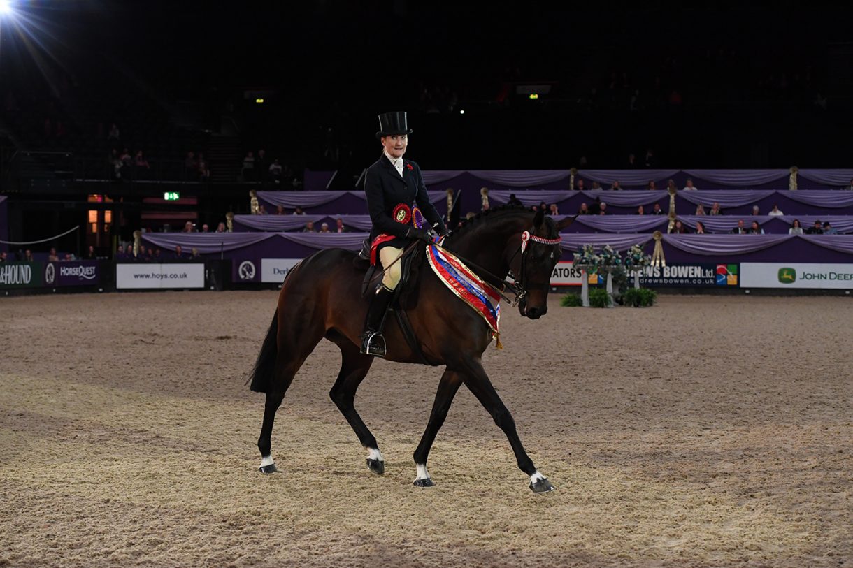 HOYS 2021: Gallery of show ring winners - Horse & Hound