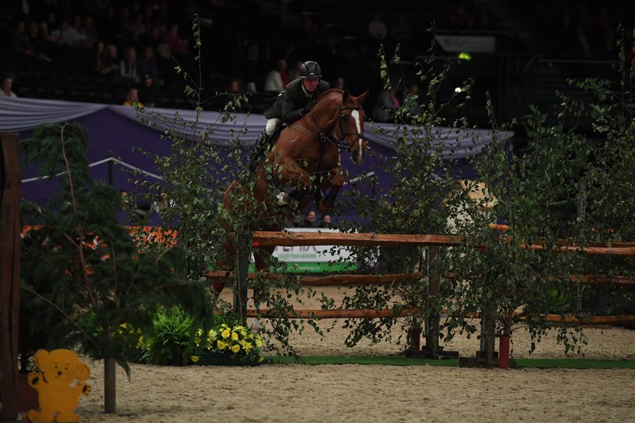 HOYS 2021: Gallery of show ring winners - Horse & Hound