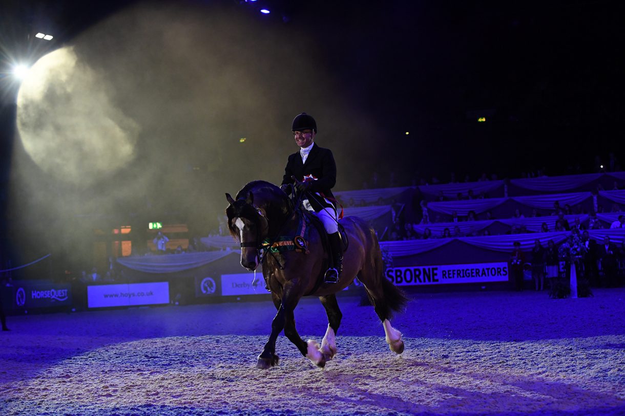 HOYS 2021: Gallery of show ring winners - Horse & Hound