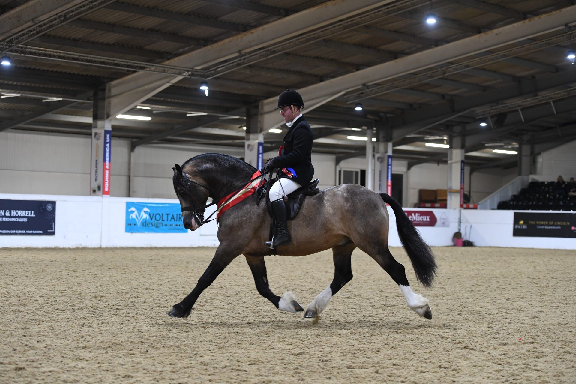 ‘I honestly don’t know what else I can say about this wonderful pony ...