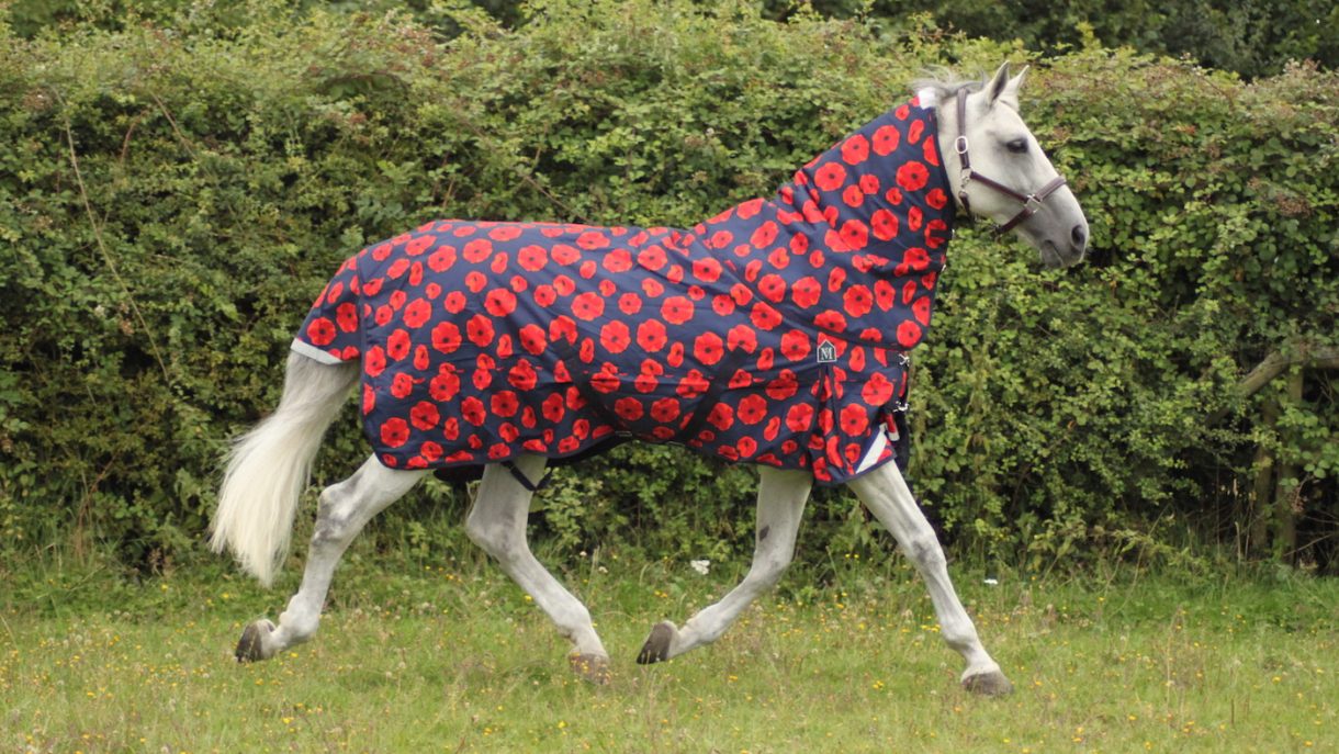 Lest we forget: remembrance rug raises funds for Poppy Appeal - Horse ...