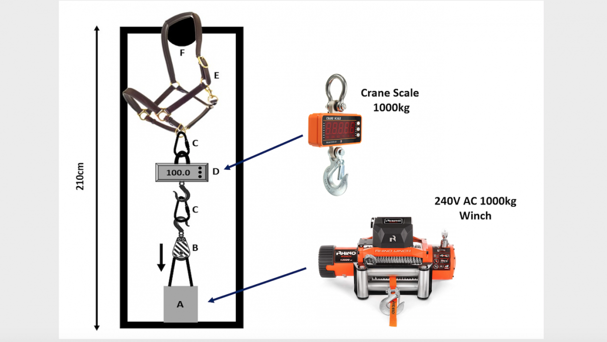 What is a Dually halter and how does it work? - Horse & Hound