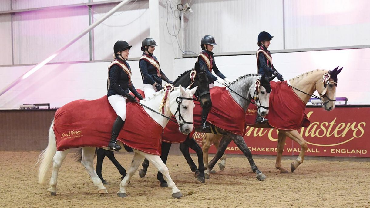 7 things you need to know about affiliated dressage before you start