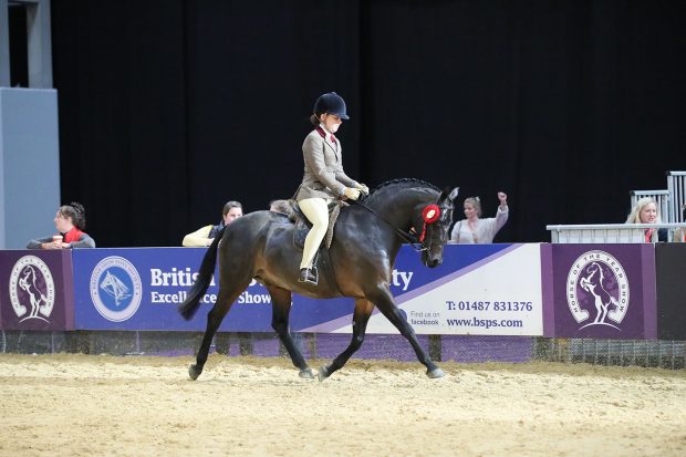 HOYS 2021: Show hunter pony of the year championship - Horse & Hound