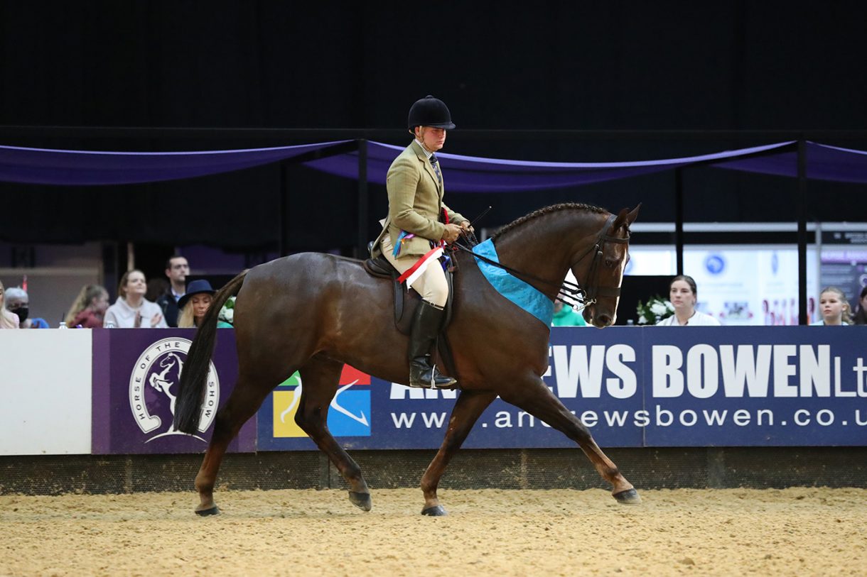 HOYS 2021: Gallery of show ring winners - Horse & Hound
