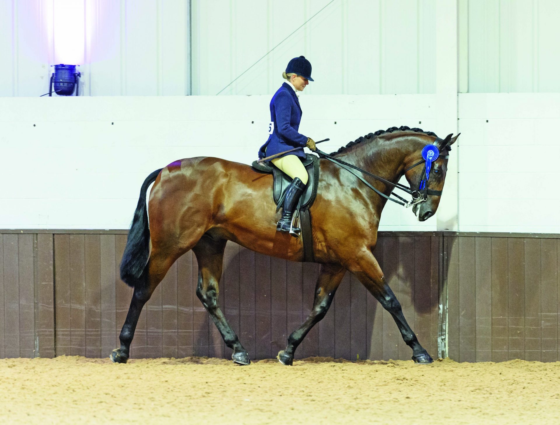 Danielle Heath on how she became a show producer - Horse & Hound