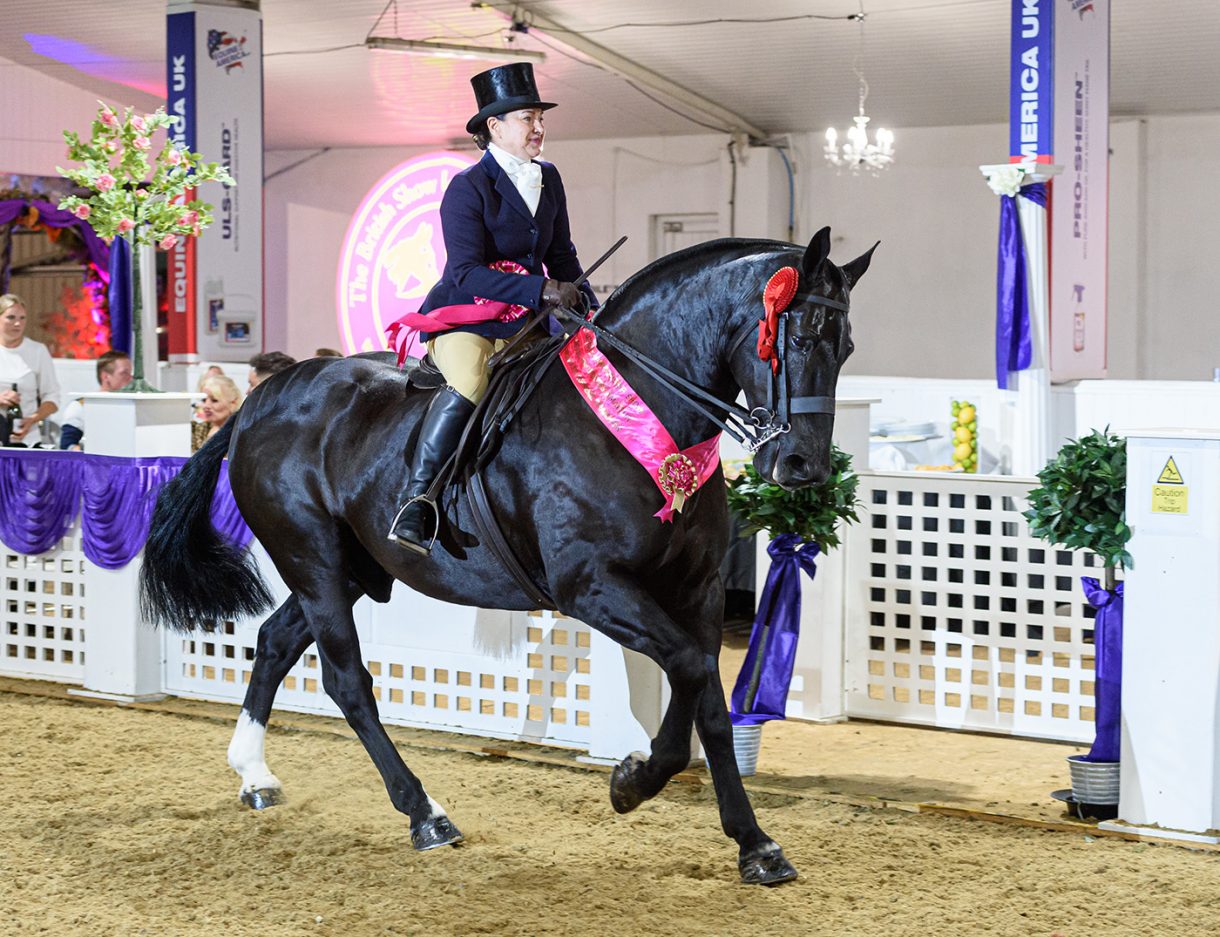 9 top show cobs snapped during the 2021 show season - Horse & Hound